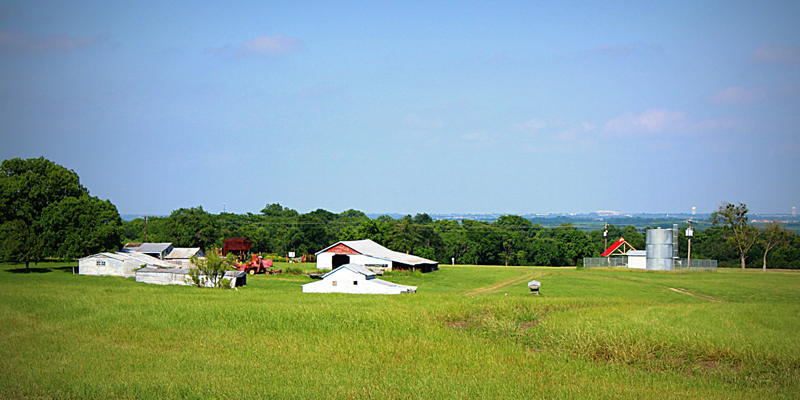 Image Gallery - Thumbnails