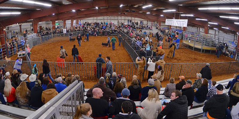 Image Gallery - Thumbnails