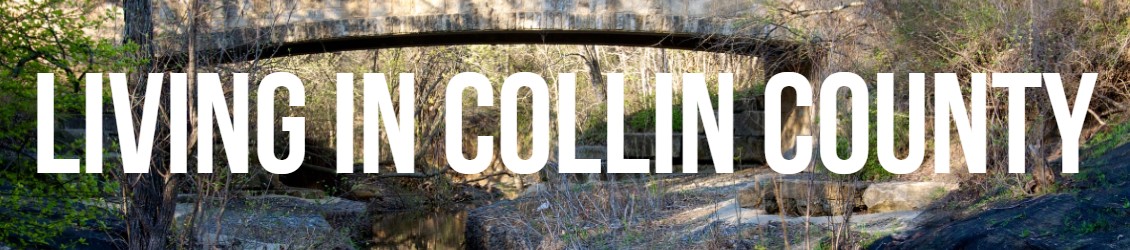 default - Thumbnails